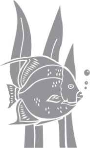 Angel Fish - Pre-cut Patterns