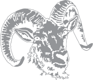 Mountain Goat - Pre-cut Patterns