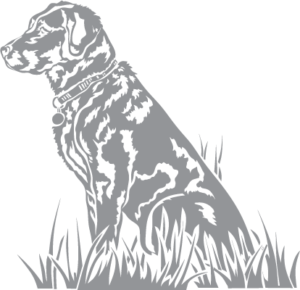 Labrador Retriever - Pre-cut Patterns