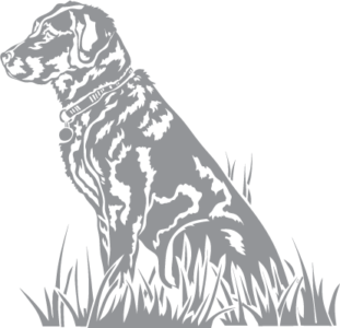 Labrador Retriever - Pre-cut Patterns